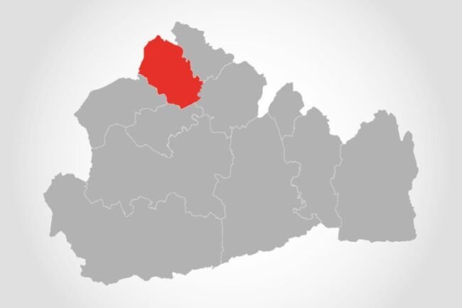 Runnymede Borough Council – lyondale